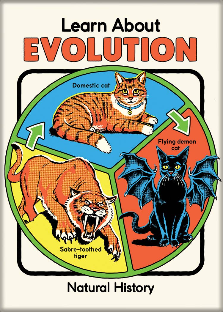 Steven Rhodes Learn About Evolution Magnet – Replay Toys LLC